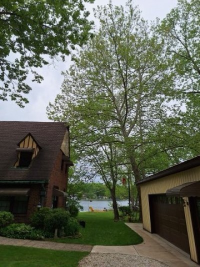 NFC Tree Service - Akron, OH