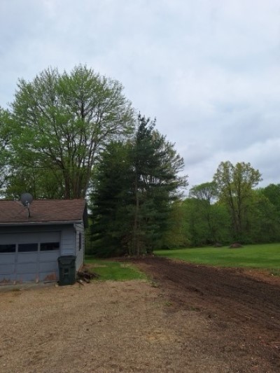 NFC Tree Service - Akron, OH