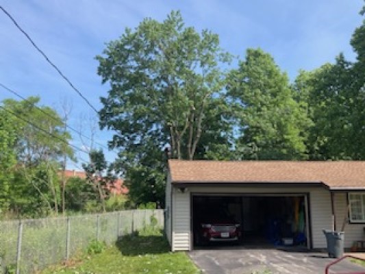 NFC Tree Service - Akron, OH