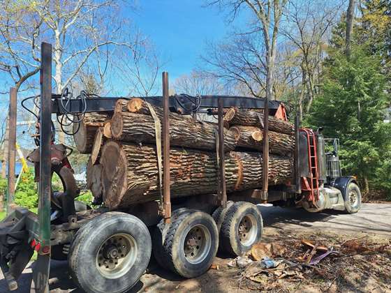 NFC Tree Service - Akron, OH